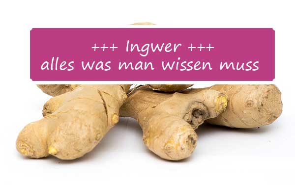 ᑕ ᑐ Ingwer - Alles was man wissen muss - Abnehmen Infoportal